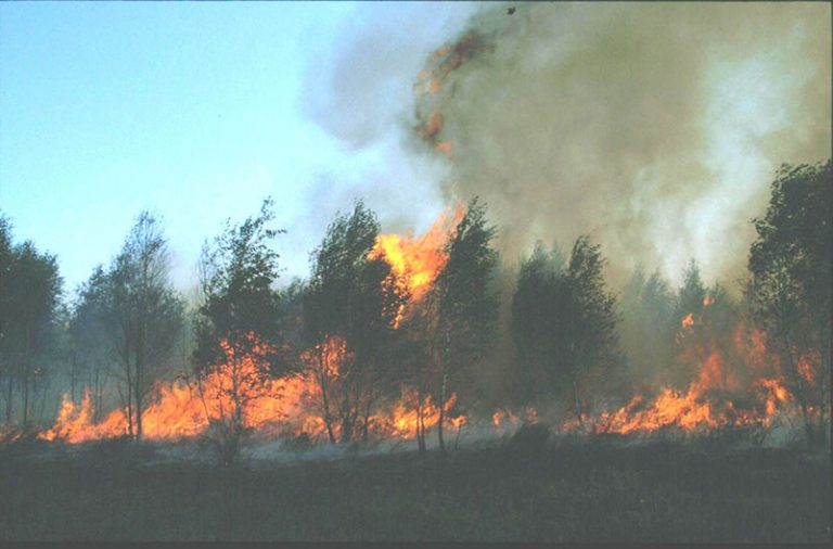 Landscape Fires - BeSafeNet