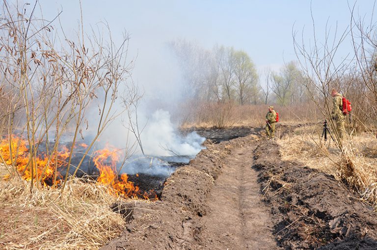 Landscape Fires - BeSafeNet