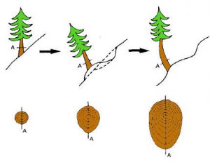 Landslides - BeSafeNet