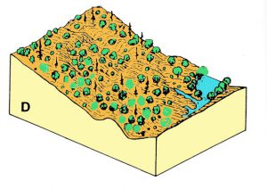 Landslides - BeSafeNet