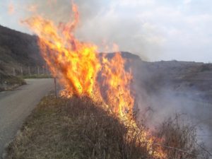 Landscape Fires - BeSafeNet